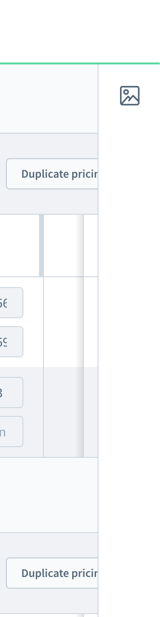 Unable To Delete Advanced Prices Due To Media Bar Covering Actions Button · Issue 1698 