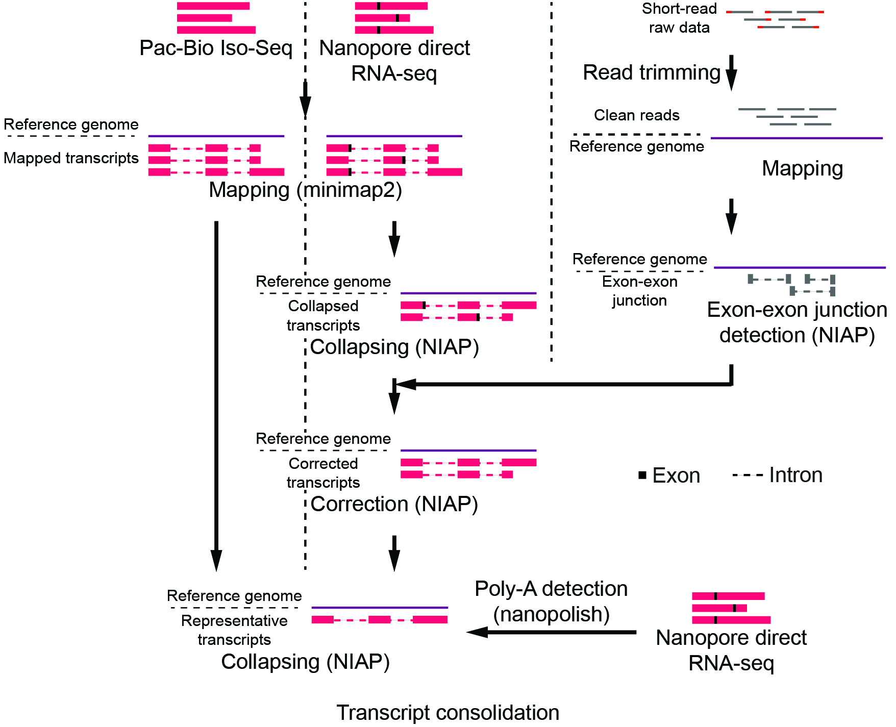 GitHub - wbglizhizhong/NIAP: NIAP is a gernalized pipeline for ...