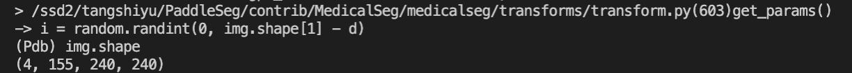 Bug founded in RandomCrop4D, MedicalSeg · Issue #2981 · PaddlePaddle/PaddleSeg · GitHub