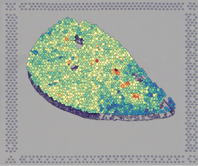 crop = FALSE causes an error in function SpatialFeaturePlot · Issue #4003 · satijalab/seurat ...