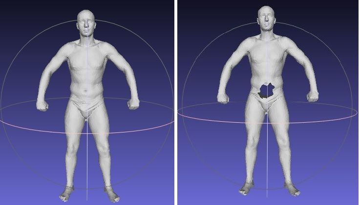GitHub - neginbagherzadi/Deformable-Shape-Completion