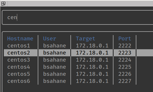 Custom Arguments while ssh · Issue #19 · quantumsheep/sshs · GitHub