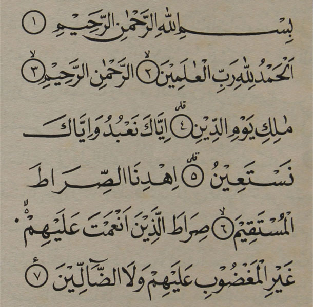 Add support for Quranic annotation signs · Issue #157 · aliftype/amiri · GitHub