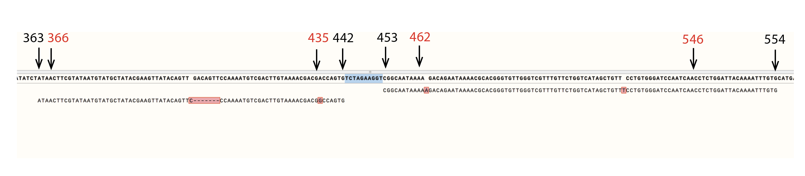 position is wrong · Issue #389 · lh3/minimap2 · GitHub