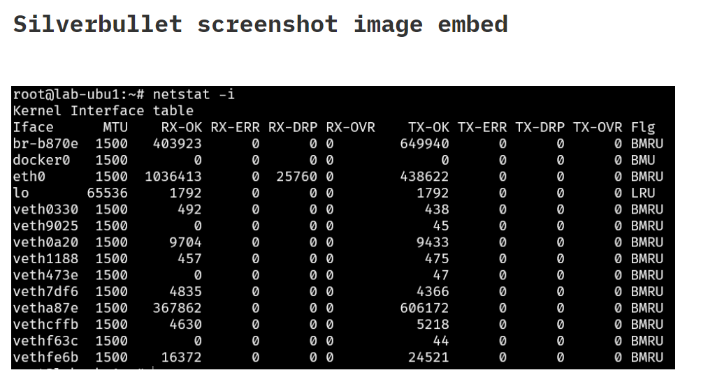 Feature request: improved code snippets layout · Issue #348 · silverbulletmd/silverbullet · GitHub
