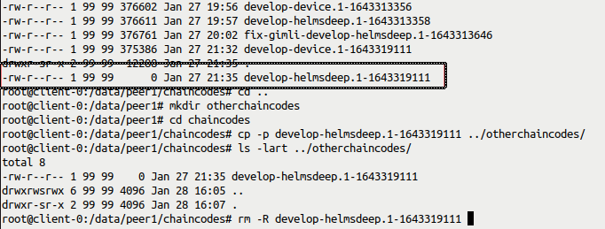 Peer issue when starting · Issue #3201 · hyperledger/fabric · GitHub