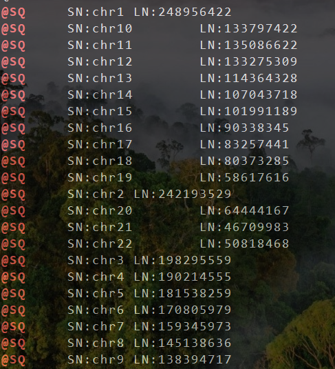 Error with "barcodes file does not appear to exist" when run DropletQC · Issue #1 ...
