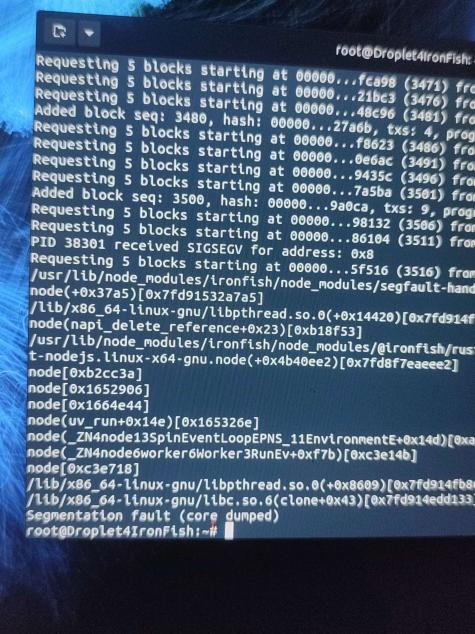 Core Dumped · Issue #3032 · iron-fish/ironfish · GitHub