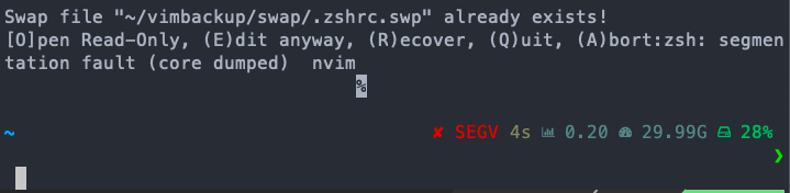 Prompt glitches after segmentation fault · Issue #751 · romkatv/powerlevel10k · GitHub