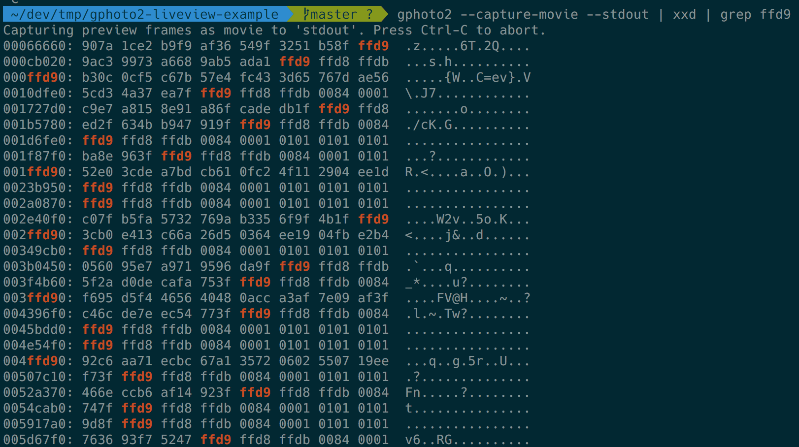 [Feat] Liveview, captureVideoAsync saves empty file, captureVideo just returns the error · Issue ...