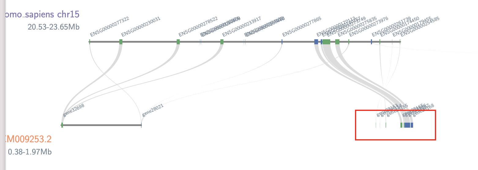 How to lay more than one chromosome from one species in Microsynteny ...