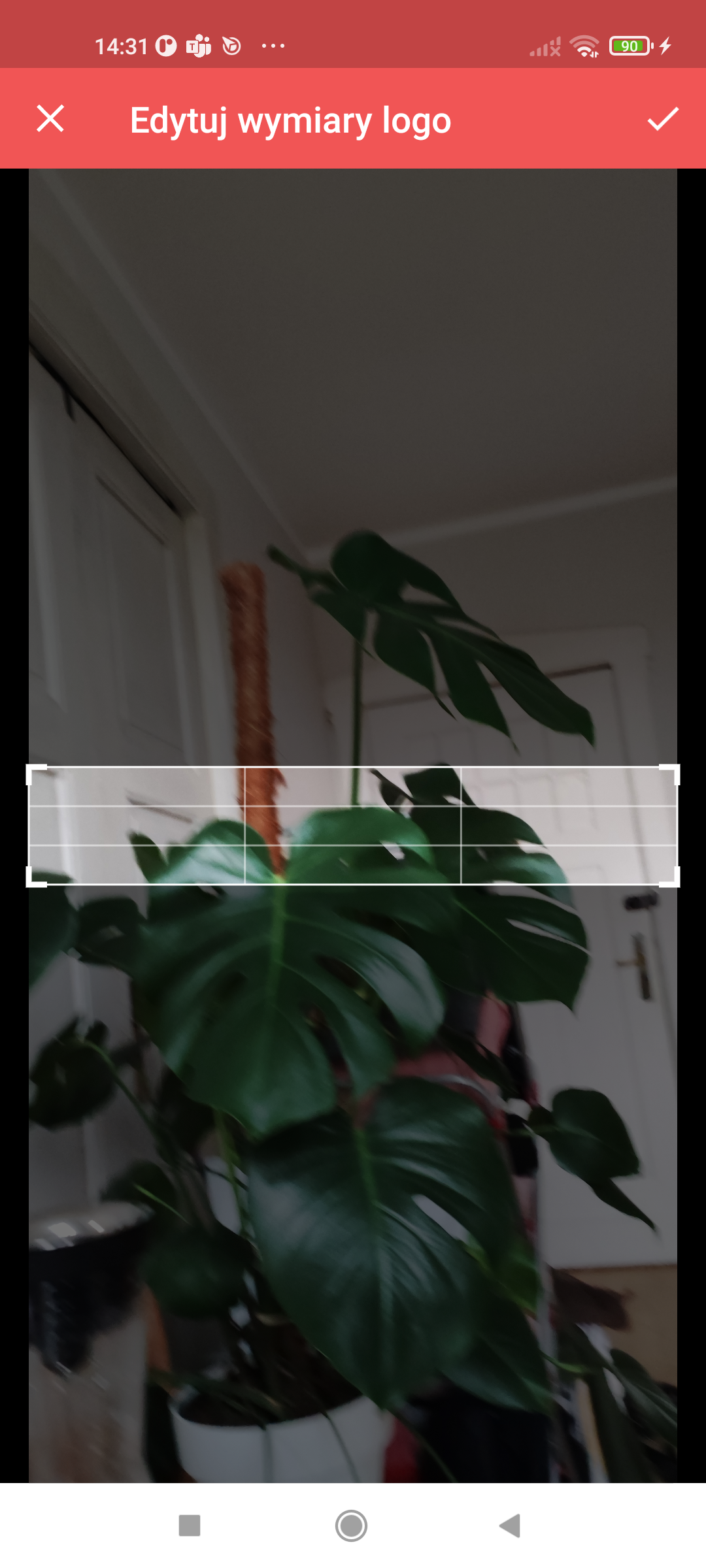 Error when cropping image after zooming out · Issue #413 · hnvn/flutter ...