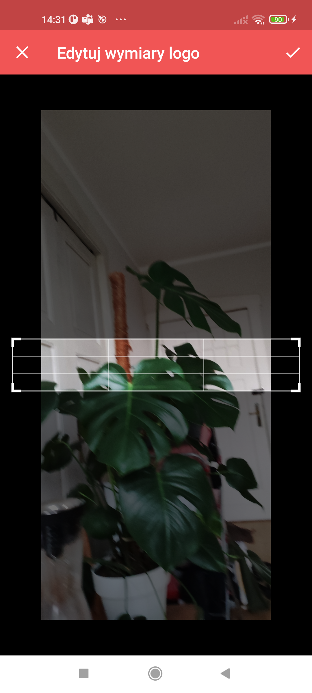 Error when cropping image after zooming out · Issue #413 · hnvn/flutter ...