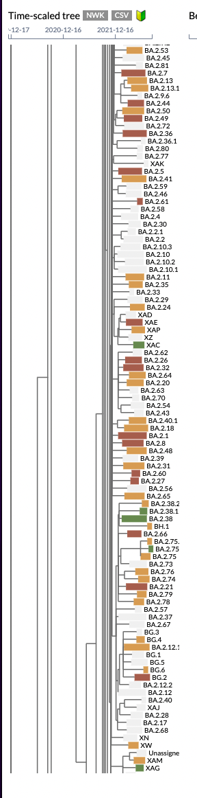 VirusSeq: timetree has omicron placed outside of main tree · Issue #423 · PoonLab/covizu · GitHub
