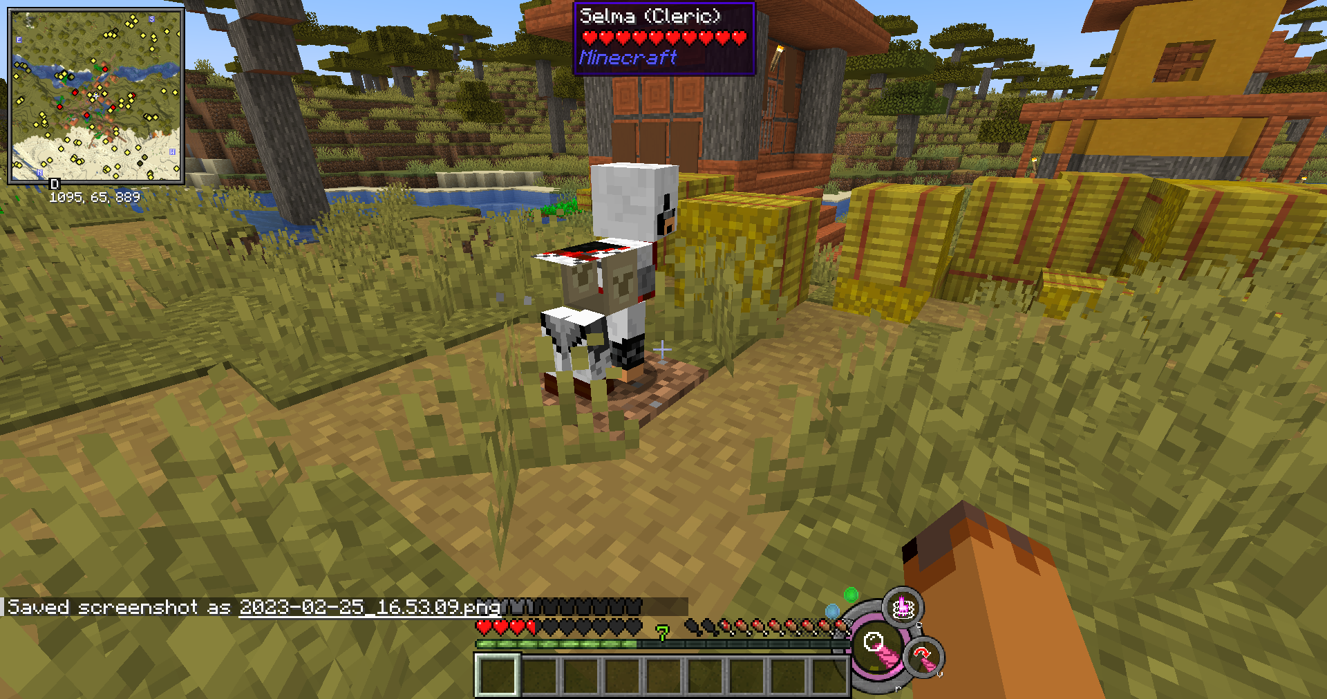 Ponified Villagers textures not showing correctly · Issue #228 · MineLittlePony/MineLittlePony ...