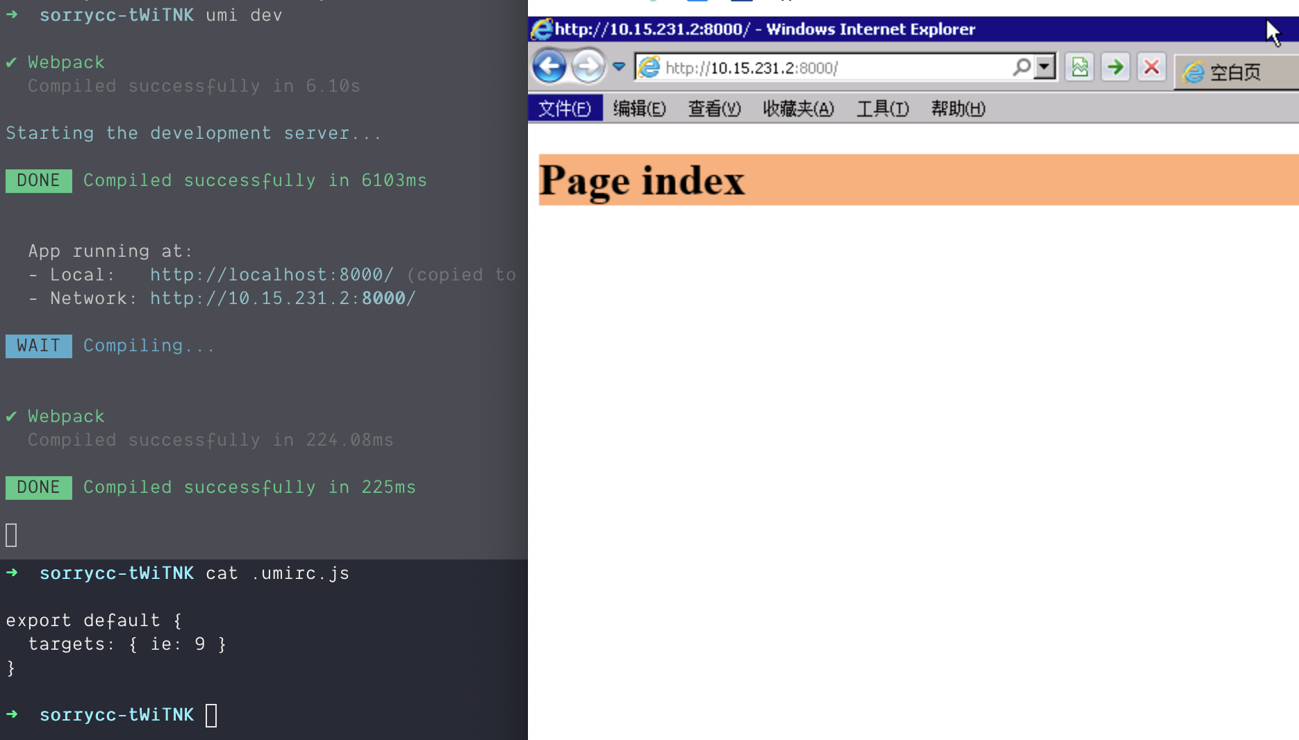 umi-plugin-react polyfills有效 targets无效 · Issue #3558 · umijs/umi · GitHub