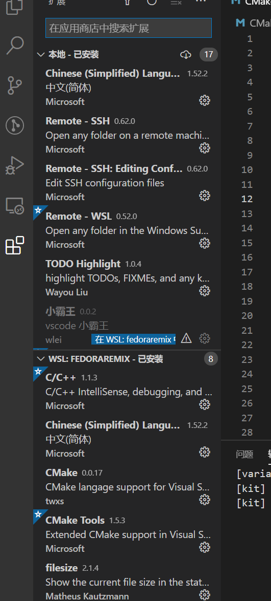 why my ext"CMAKE TOOLS" has no icon · Issue #113265 · microsoft/vscode ...