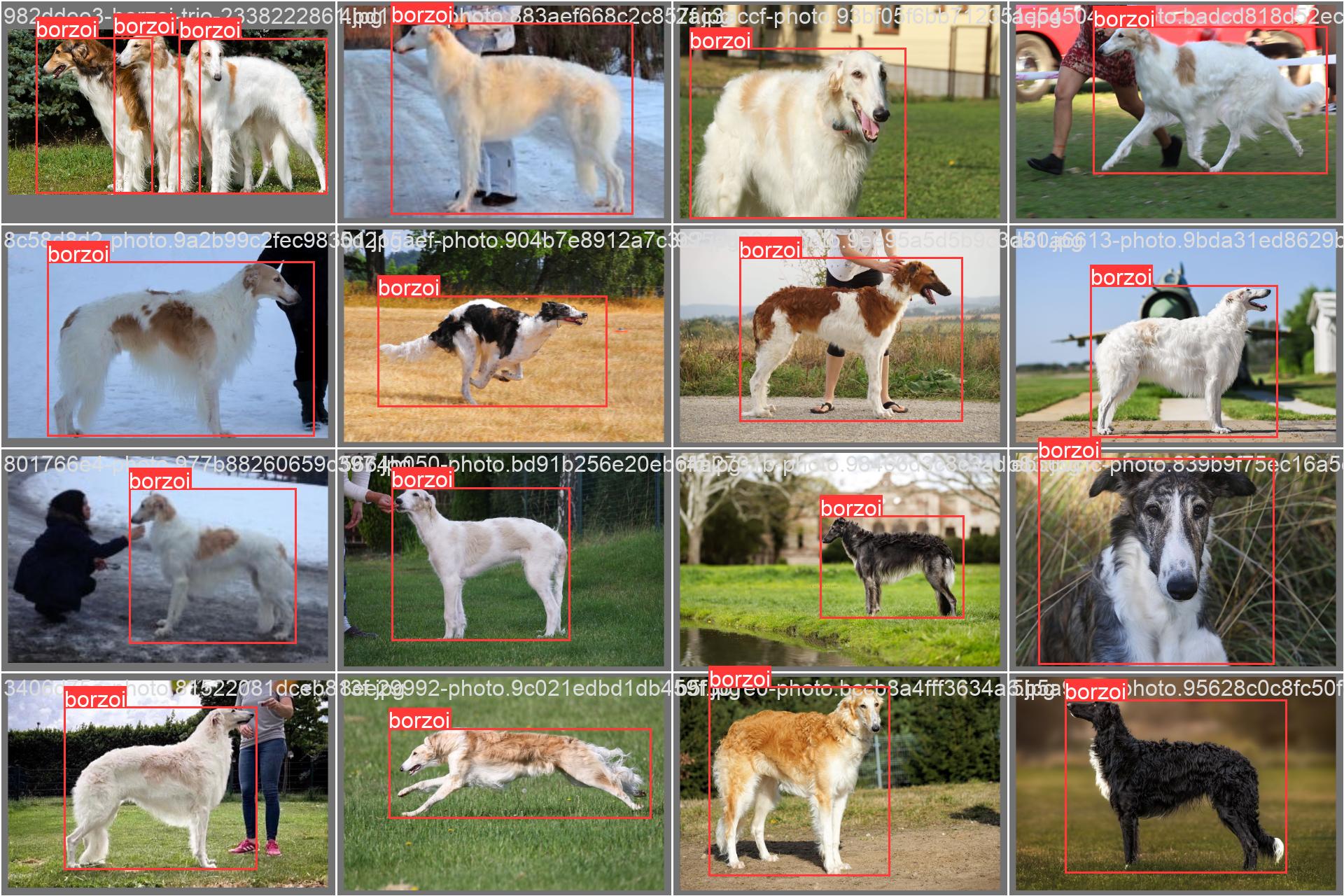 GitHub - TommyAK/yolov8-borzoi-detector: YOLOv8 object detector trained ... GitHub - TommyAK/yolov8-borzoi-detector: YOLOv8 object detector trained ...