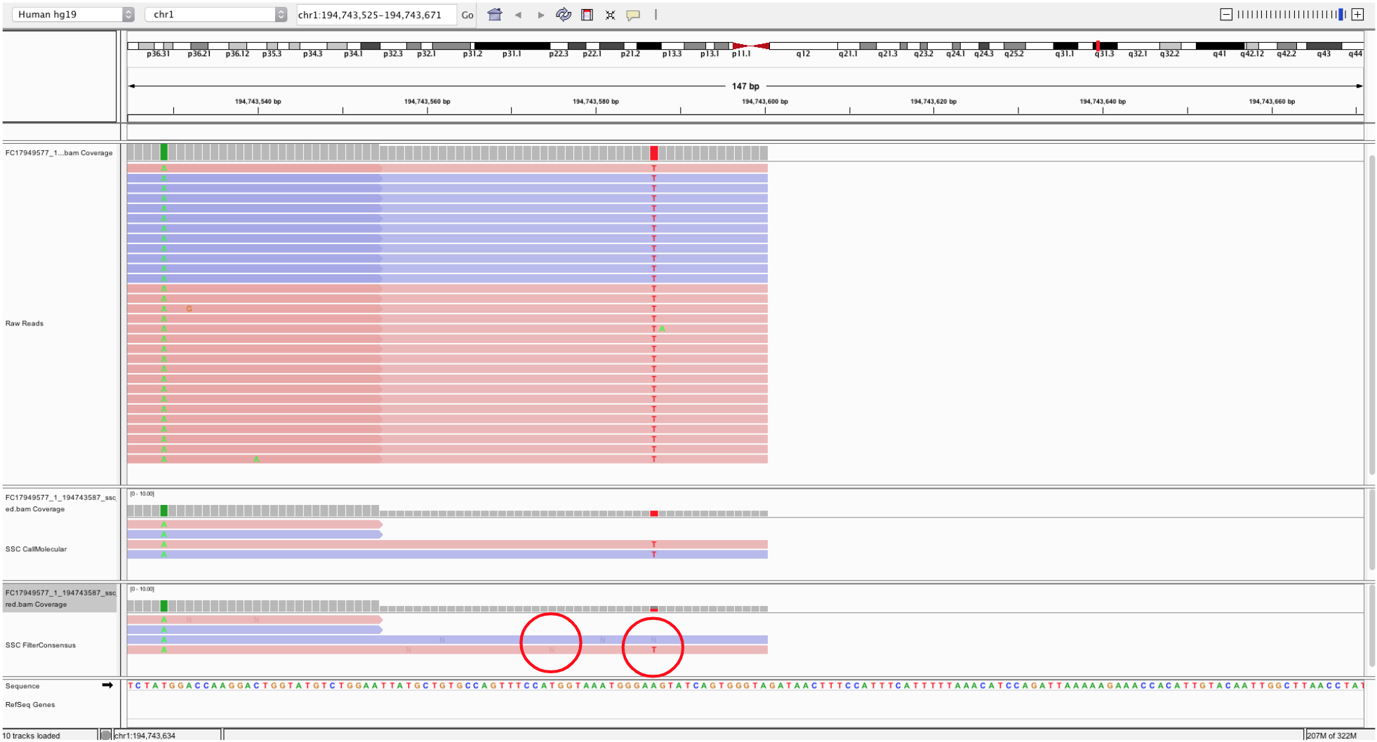Too many Ns after FilterConsensusReads · Issue #572 · fulcrumgenomics ...