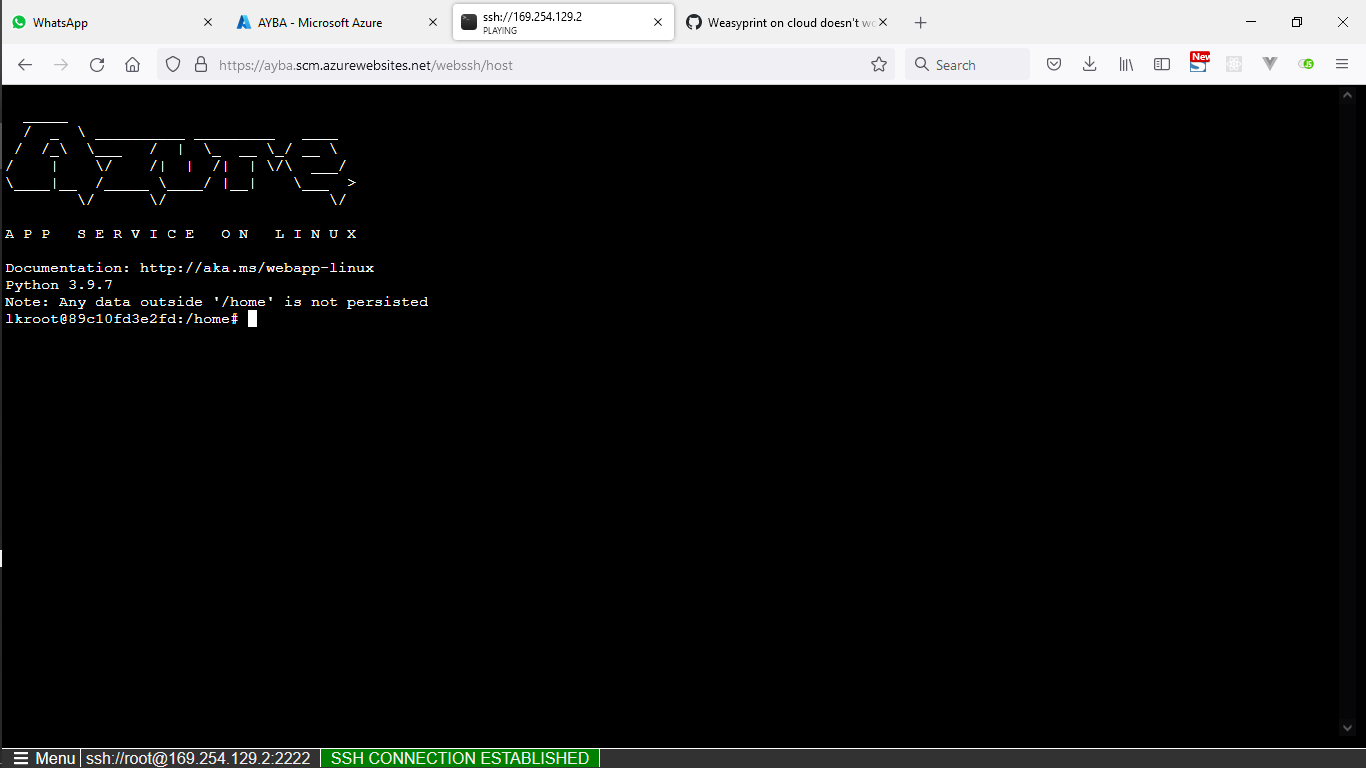 Weasyprint on cloud doesn't work · Issue #1609 · Kozea/WeasyPrint · GitHub