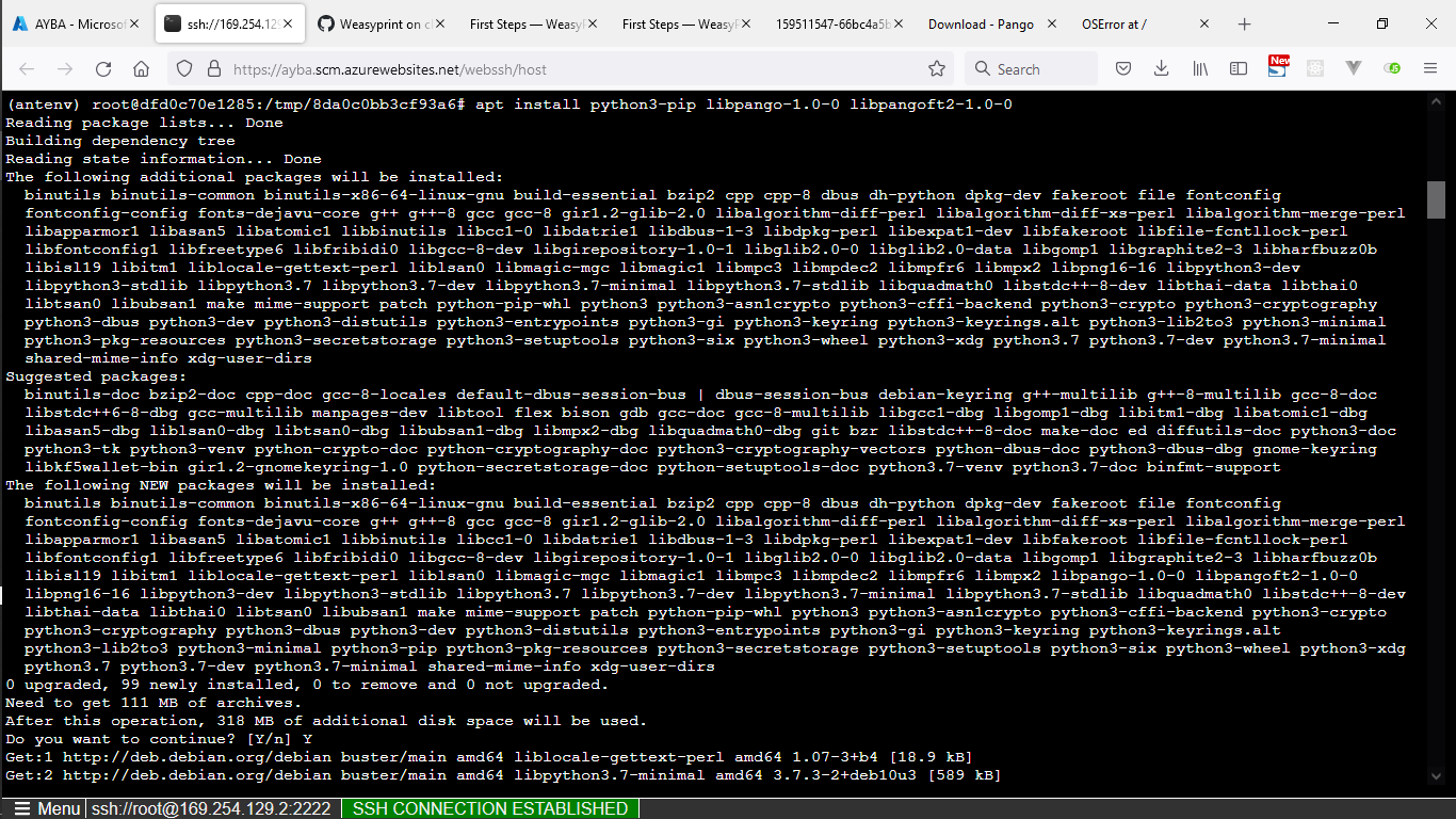 Weasyprint on cloud doesn't work · Issue #1609 · Kozea/WeasyPrint · GitHub