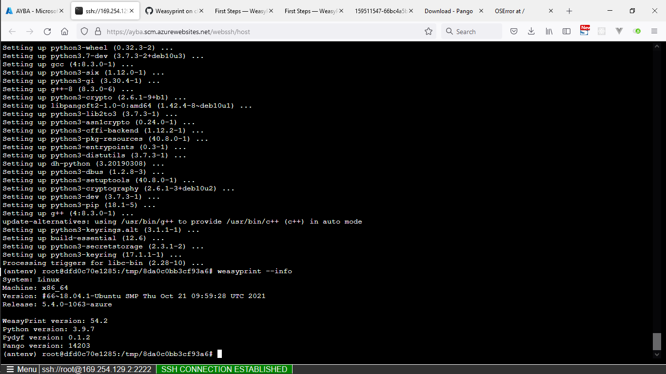 Weasyprint on cloud doesn't work · Issue #1609 · Kozea/WeasyPrint · GitHub