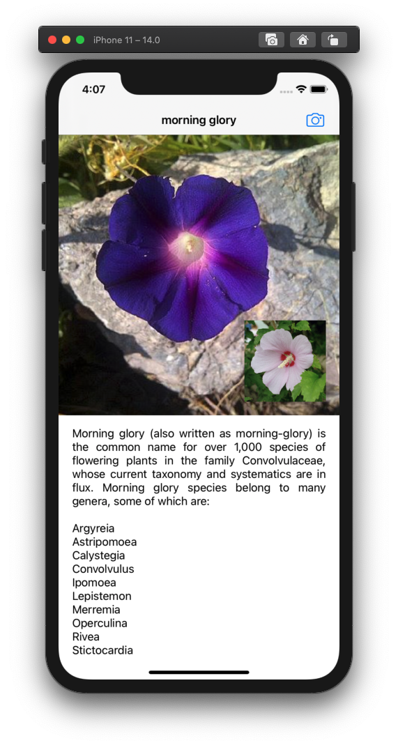GitHub - Origogi/WhatFlower: iOS ColeML sample app