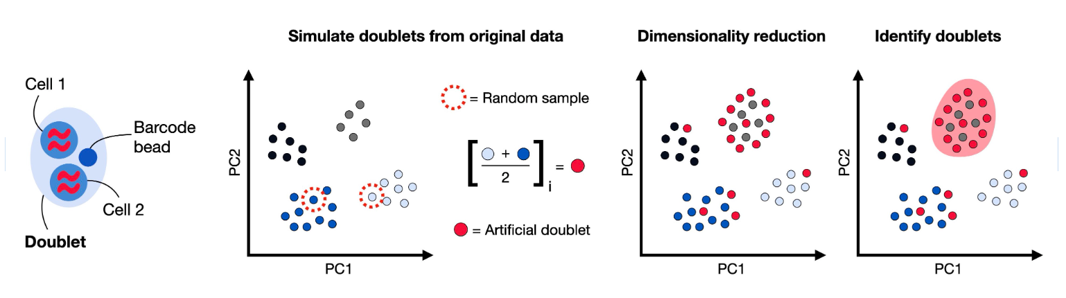 Wrong visualization of doublets cluster · Issue #244 · theislab/single-cell-best-practices · GitHub