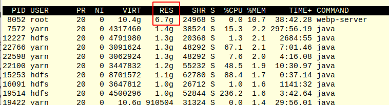 webp-server uses to much memory · Issue #198 · webp-sh/webp_server_go · GitHub