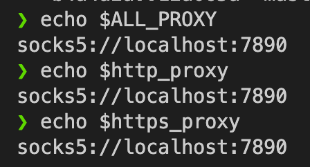[tools] `Failed to establish connection with the application instance in Chrome.` when setting ...