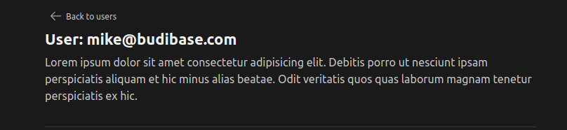 Edit user screen has Lorem Ipsum · Issue #1536 · Budibase/budibase · GitHub