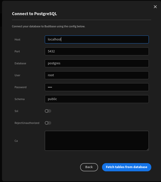 Skip Button For Fetching Internal Table On Fetch Datasources · Issue 3667 · Budibasebudibase