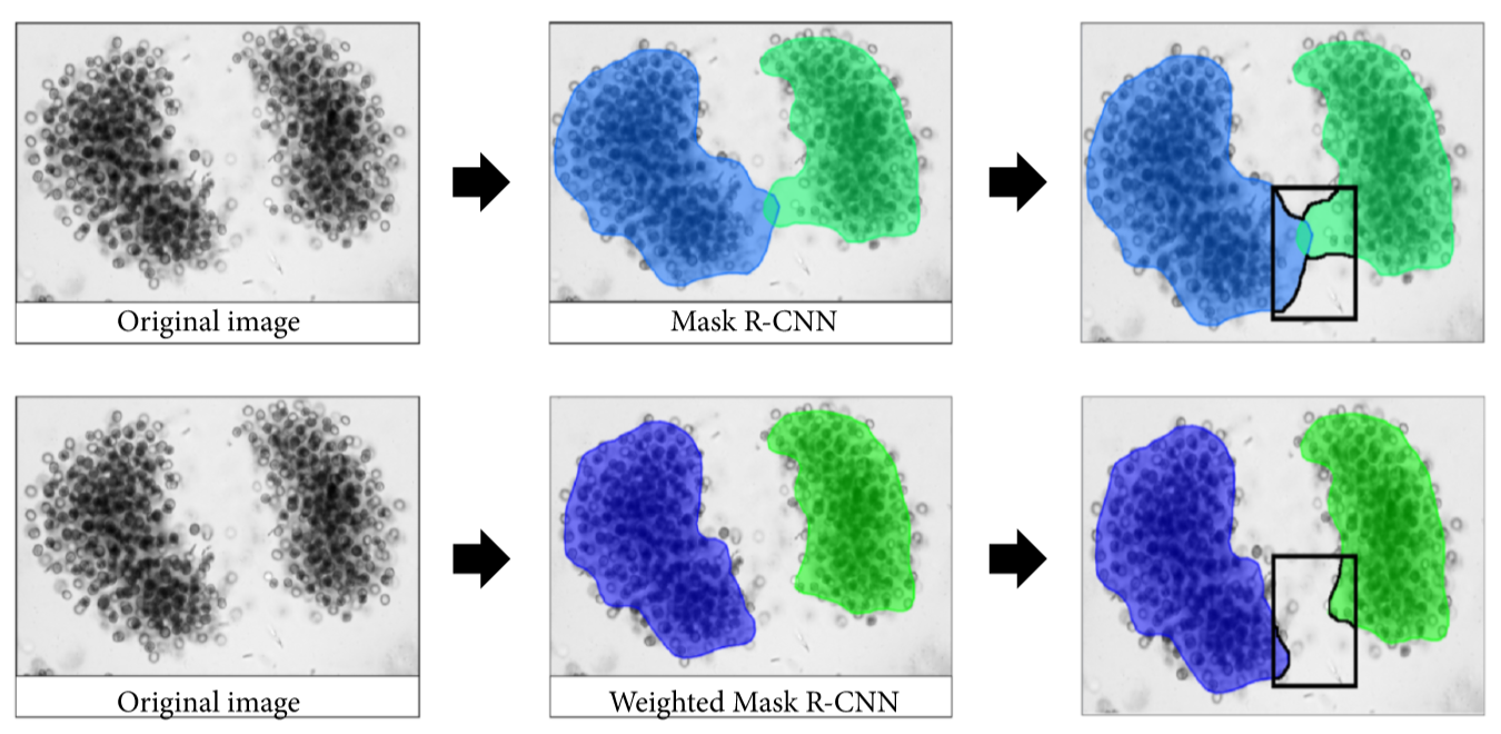 GitHub - kyoungmingo/Weighted_MaskRCNN