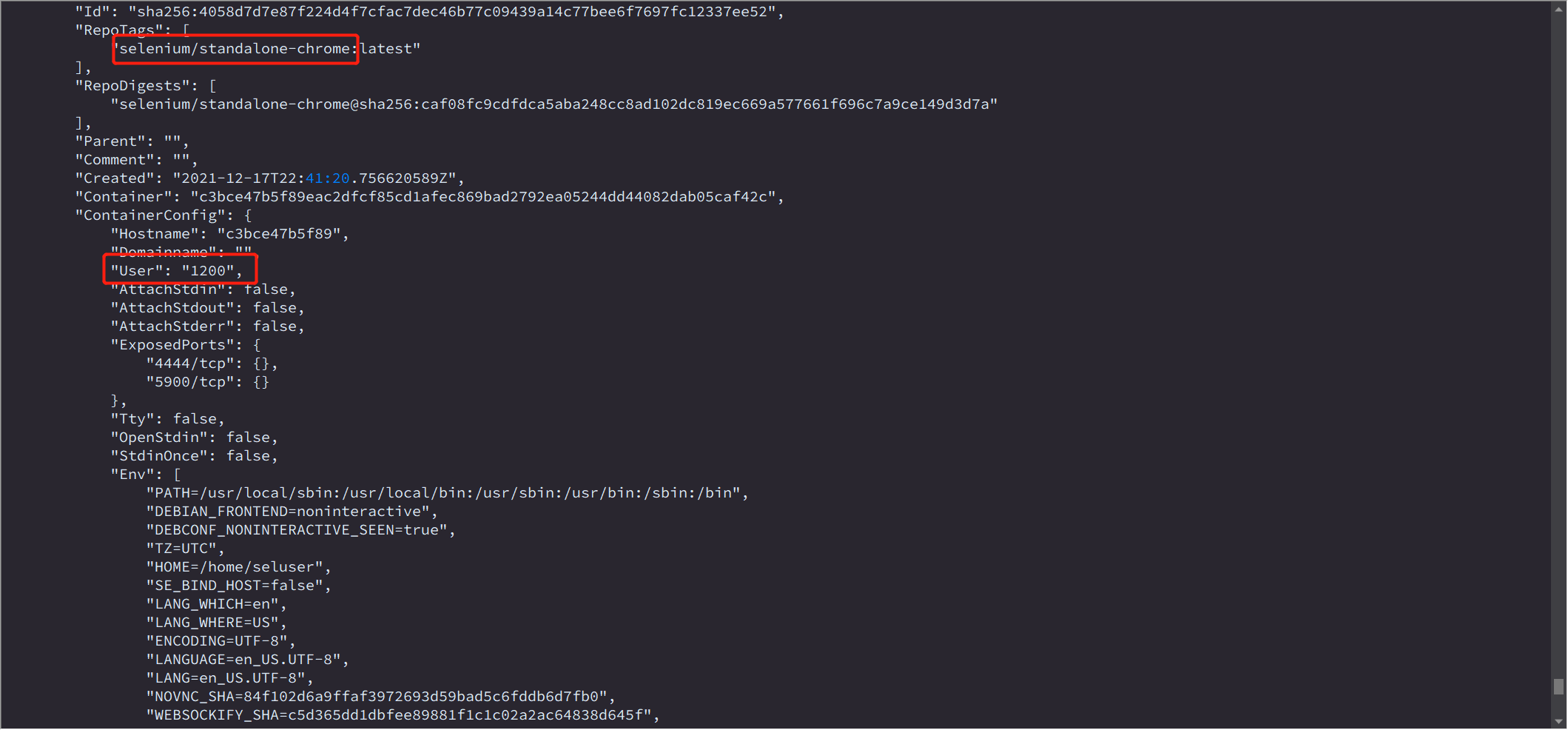 docker image fails to start · Issue #2134 · GNS3/gns3-server · GitHub