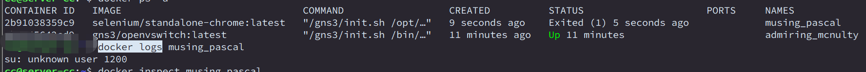 docker image fails to start · Issue #2134 · GNS3/gns3-server · GitHub