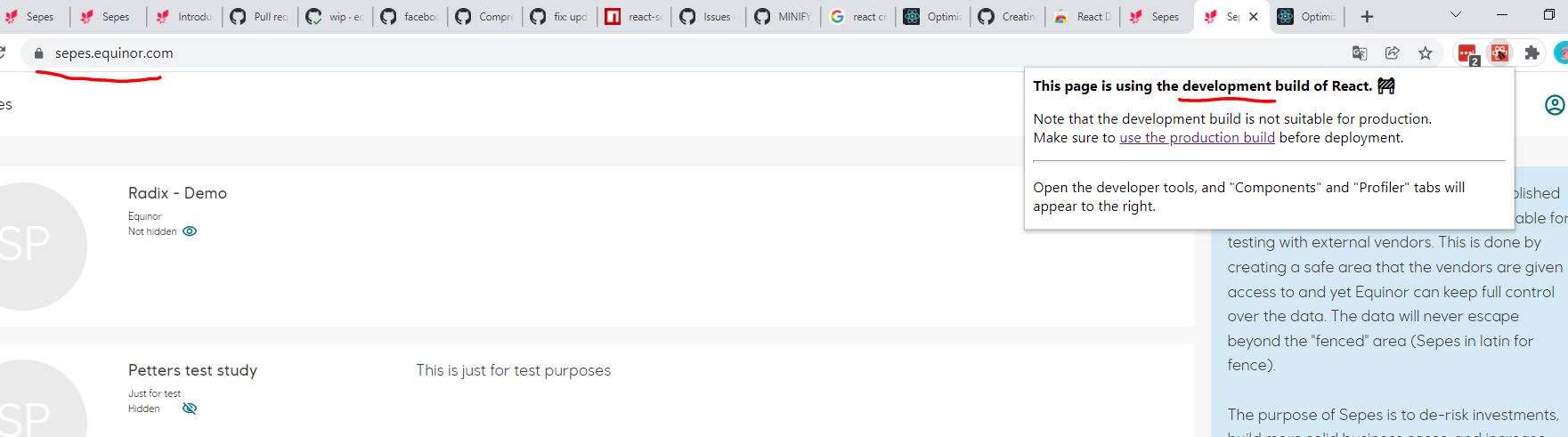 ci: use react production build in production env · Issue #1402 · equinor/sepes-web · GitHub
