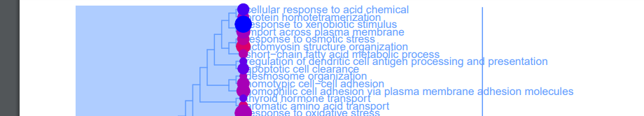 请问 Treeplot 怎么调整每行的文字长度 · Issue 197 · Yulab Smuenrichplot · Github 