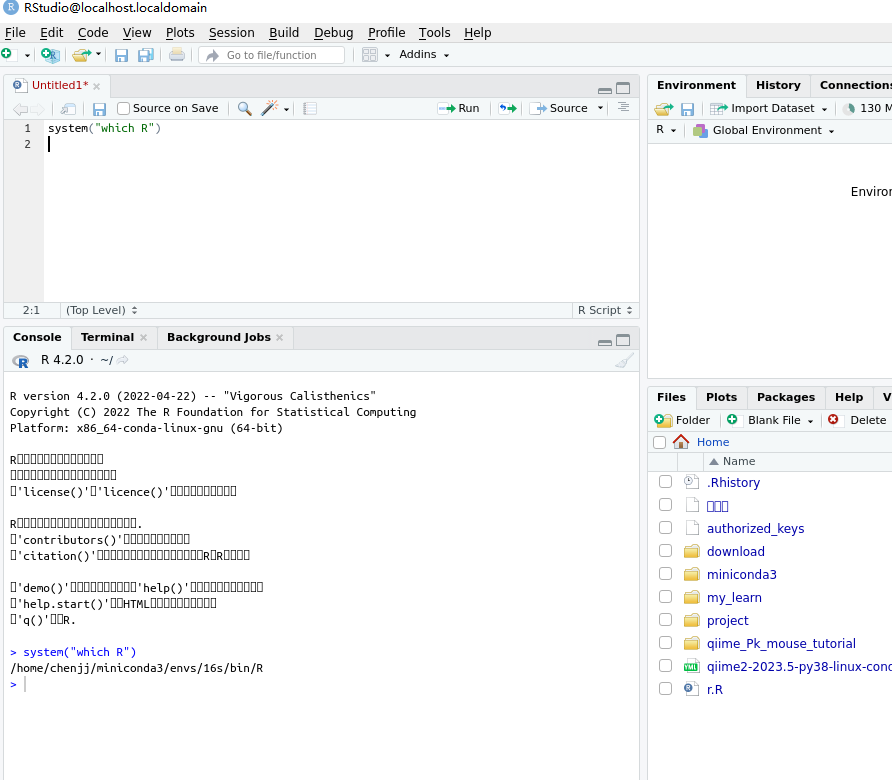 start rstudio in server ,rstudio can't display chinese and Enter Chinese · Issue #13349 ...