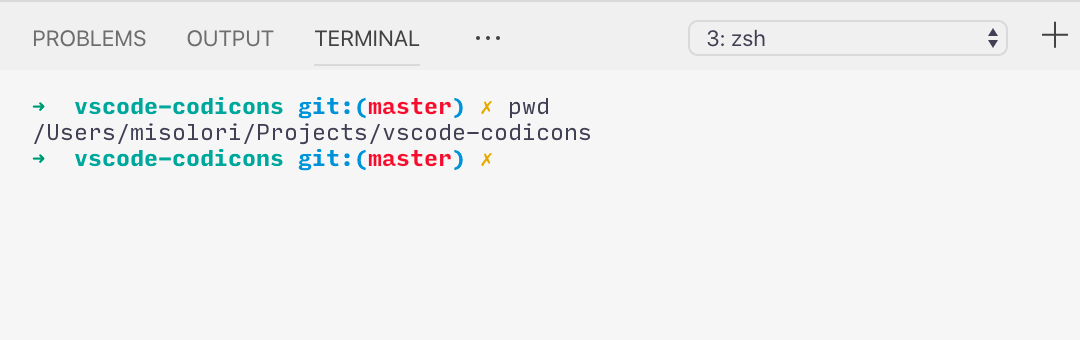 Integrated Terminal With Zsh On Macos Catalina Starts With Incorrect Cwd · Issue 76503 