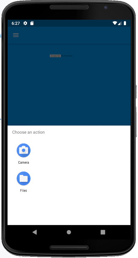 Accessing gallery and camera · Issue #464 · pichillilorenzo/flutter_inappwebview · GitHub