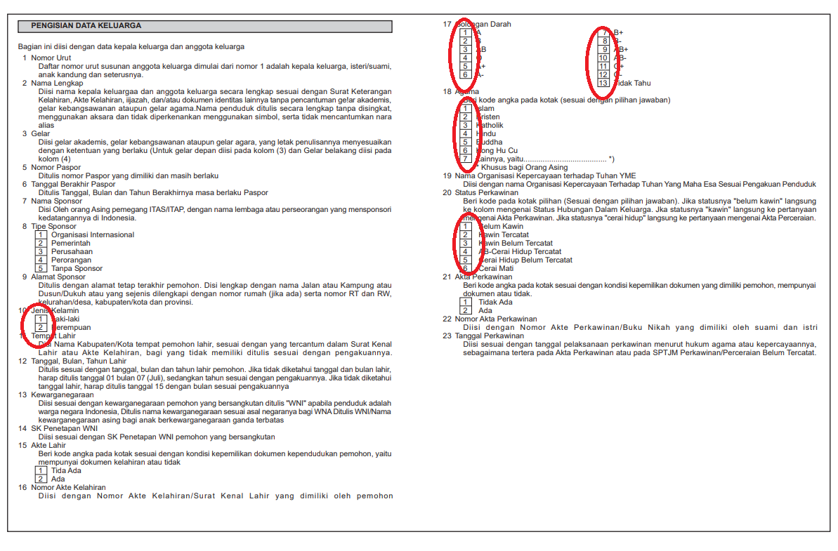 Bug : Pengisian Blanko Biodata Penduduk beberapa tidak mengikuti aturan ...