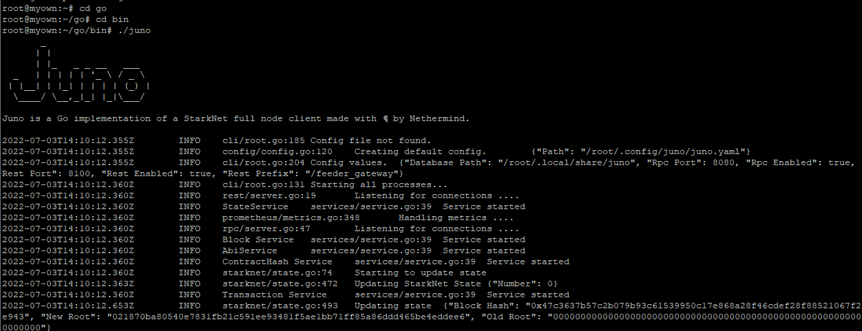 DEBUG is too much on terminal · Issue #259 · NethermindEth/juno · GitHub