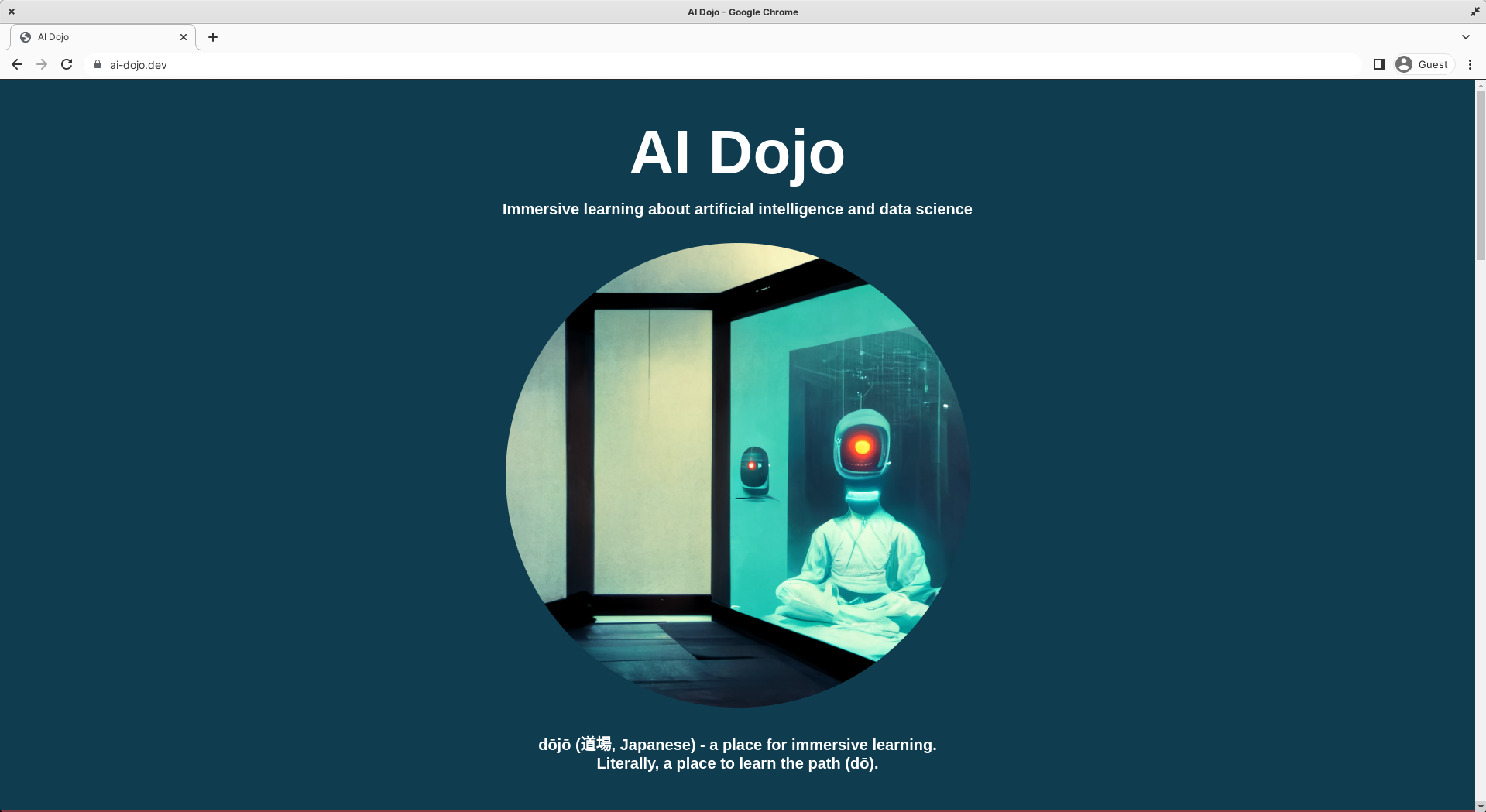 First slide should fit a laptop screen · Issue #15 · ai-dojo/ai-dojo.github.io · GitHub