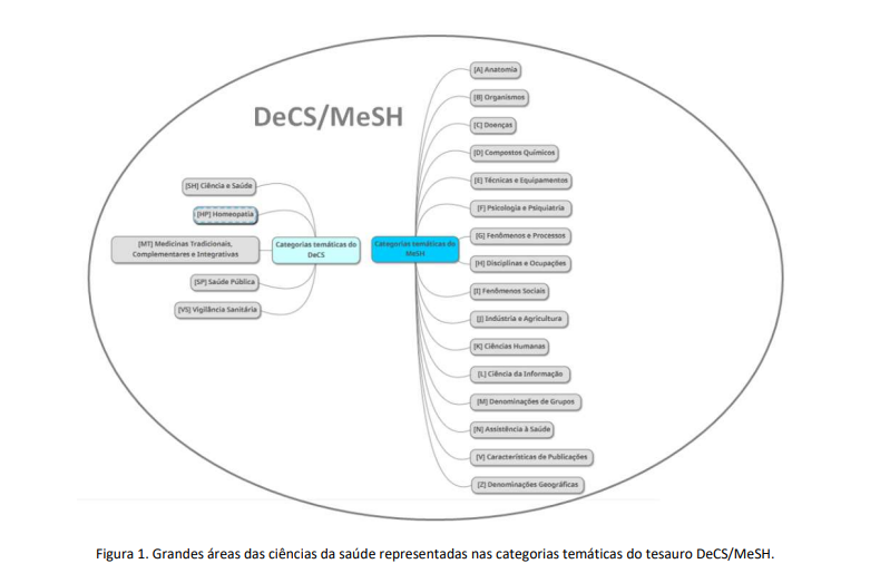 Desenvolver um infográfico sobre o DeCS/MeSH · Issue #118 · bireme ...