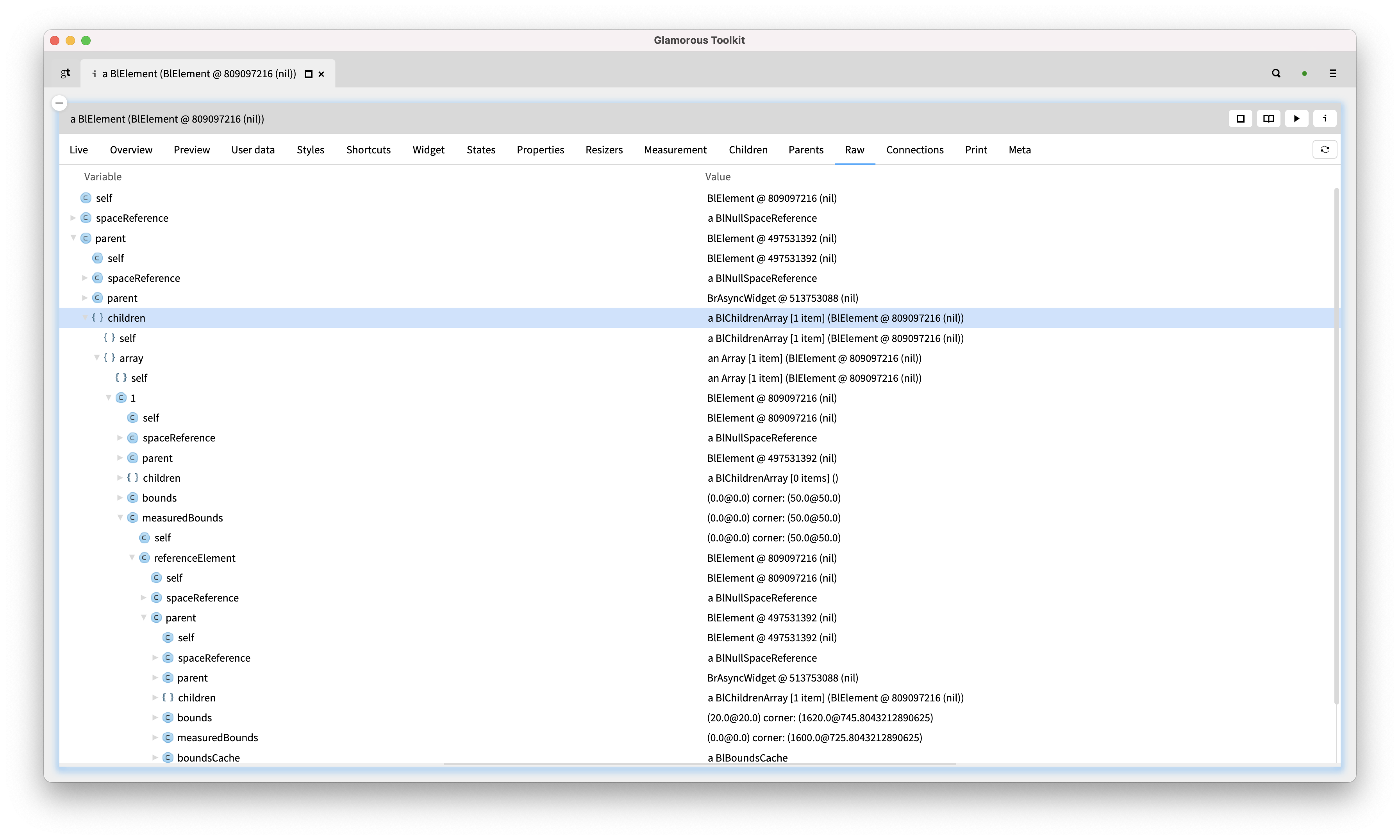The Raw view of a object show offer a tree · Issue #2477 · feenkcom/gtoolkit · GitHub