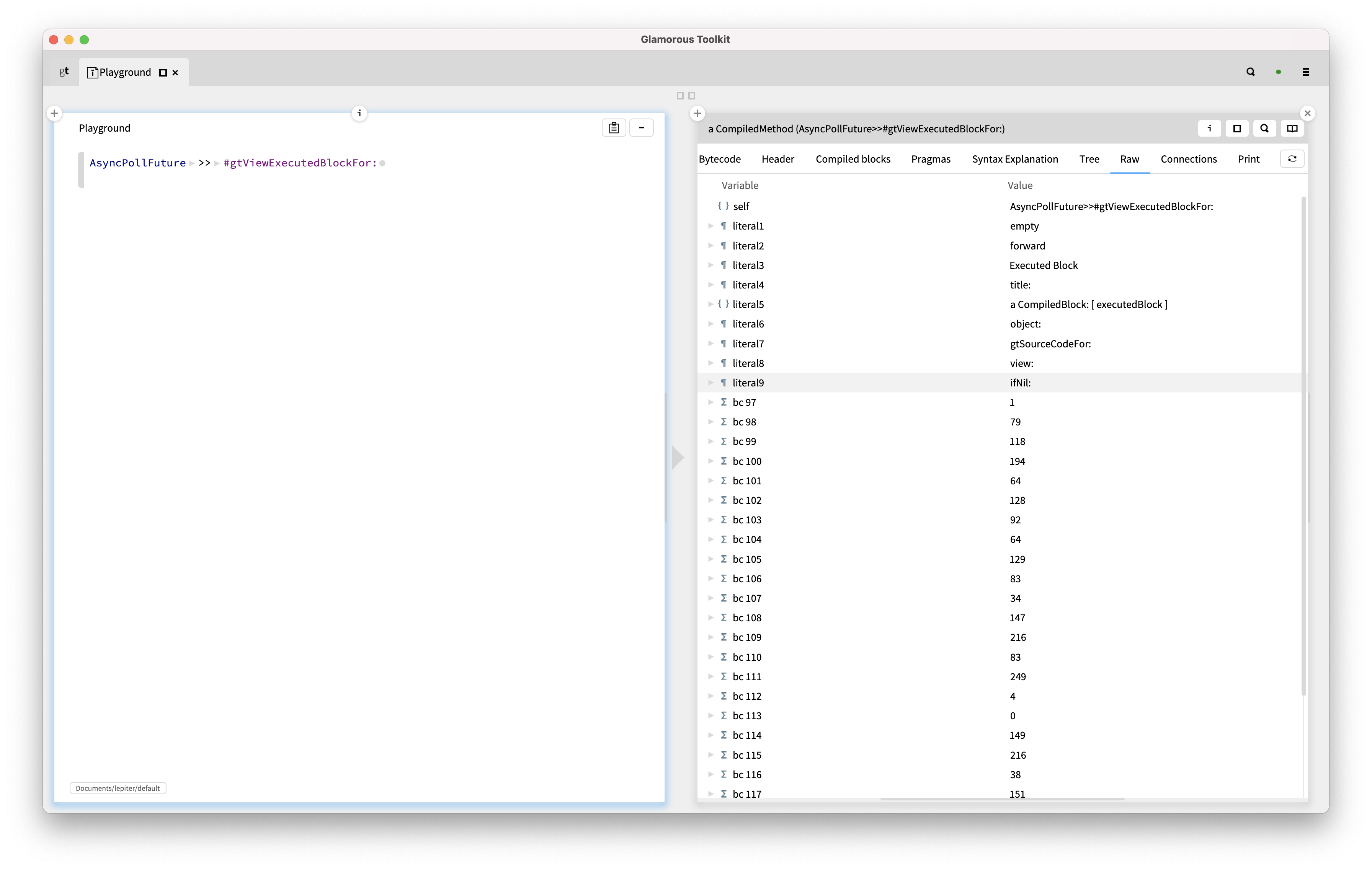 Fix the Raw view of CompiledCode to show all literals · Issue #2539 · feenkcom/gtoolkit · GitHub