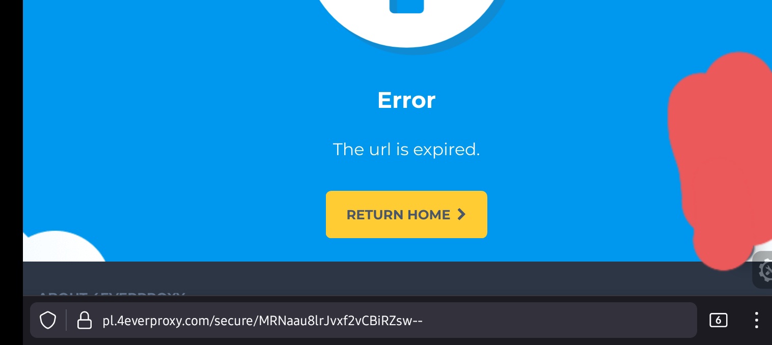 pl.4everproxy.com · Issue #94541 · AdguardTeam/AdguardFilters · GitHub
