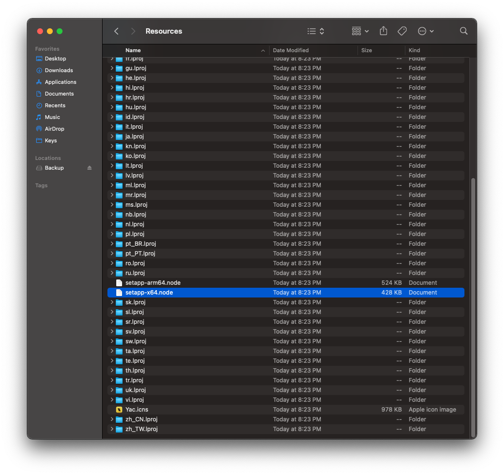 Can't access .node modules included via extraResources · Issue #1480 · nklayman/vue-cli-plugin ...