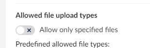 Headless API does not include allowed file types for file upload field type · Issue #923 ...