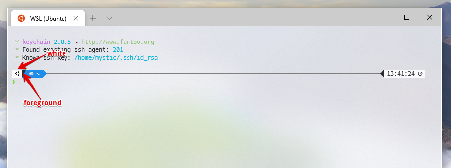 Problems with a light theme · Issue #800 · romkatv/powerlevel10k · GitHub